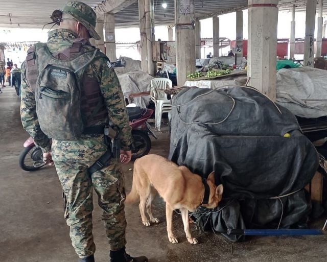 Cães Farejadores Auxiliam Em Operação De Apreensão De Drogas No Centro